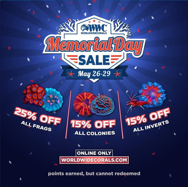 WWC MEMORIAL DAY SALE! | Reef2Reef